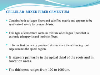 cementum in health and disease.pptx periodontology | PPTX