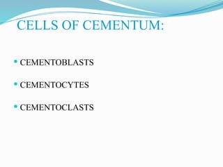 cementum in health and disease.pptx periodontology | PPTX