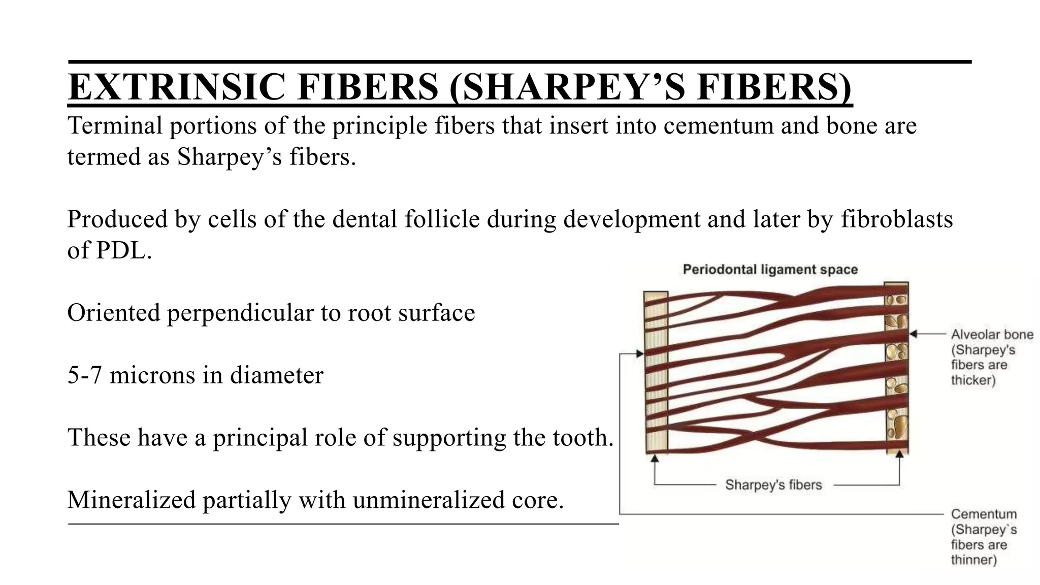 cementum in health and disease final ppt.pptx