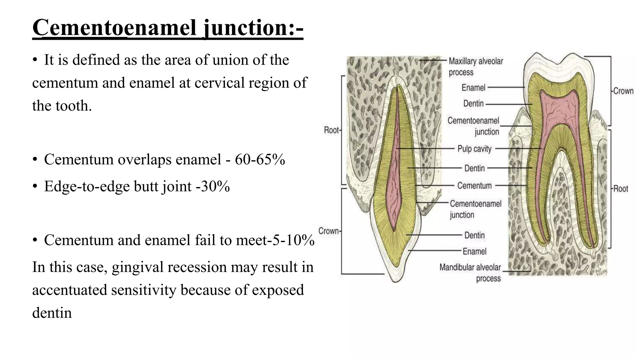cementum in health and disease final ppt.pptx