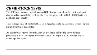 cementum in health and disease final ppt.pptx