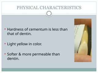 Cementum and Cementogenesis lecture.pptx