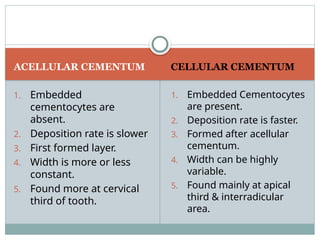 Cementum and Cementogenesis Lecture.pptx