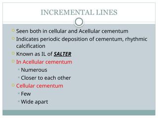 Cementum and Cementogenesis Lecture.pptx