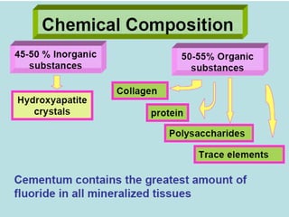 CEMENTUM AND CEMENTOGENESIS LECTURE.pptx