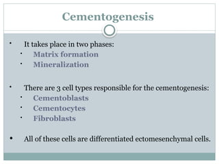 CEMENTUM AND CEMENTOGENESIS LECTURE.pptx