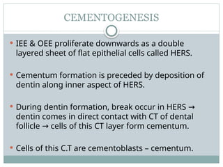 CEMENTUM AND CEMENTOGENESIS LECTURE.pptx