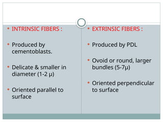 CEMENTUM AND CEMENTOGENESIS LECTURE.pptx