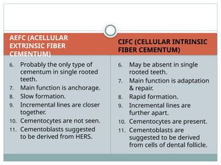 CEMENTUM AND CEMENTOGENESIS LECTURE.pptx