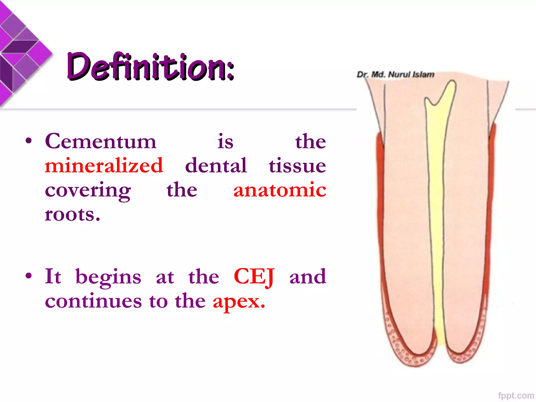 Cementum | PPT