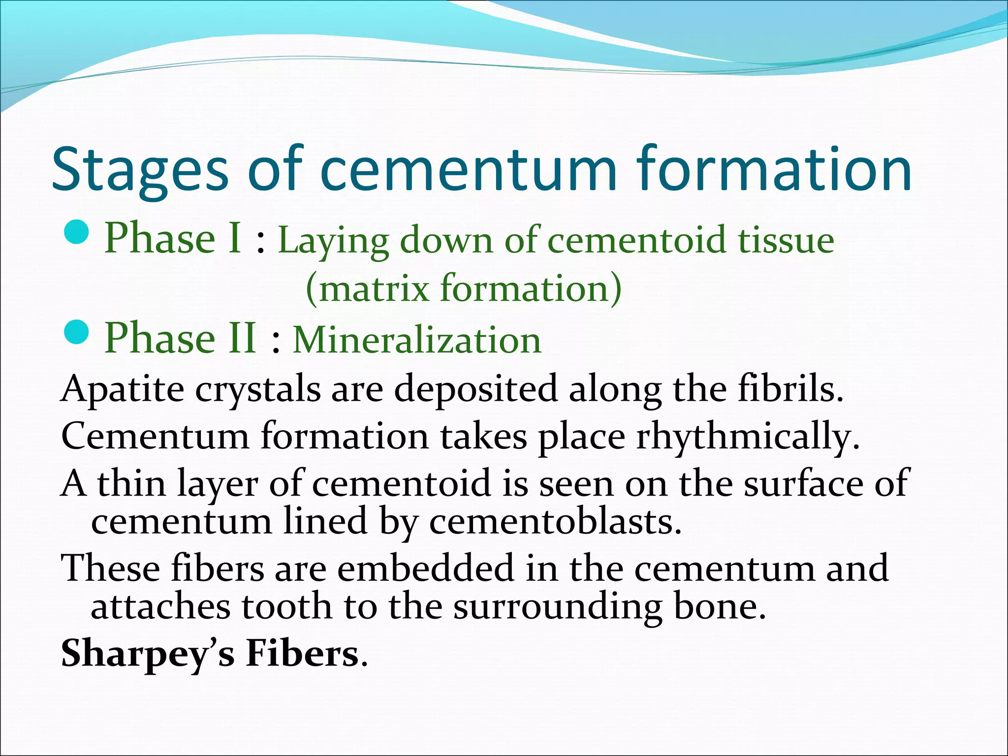 Cementum | PPT