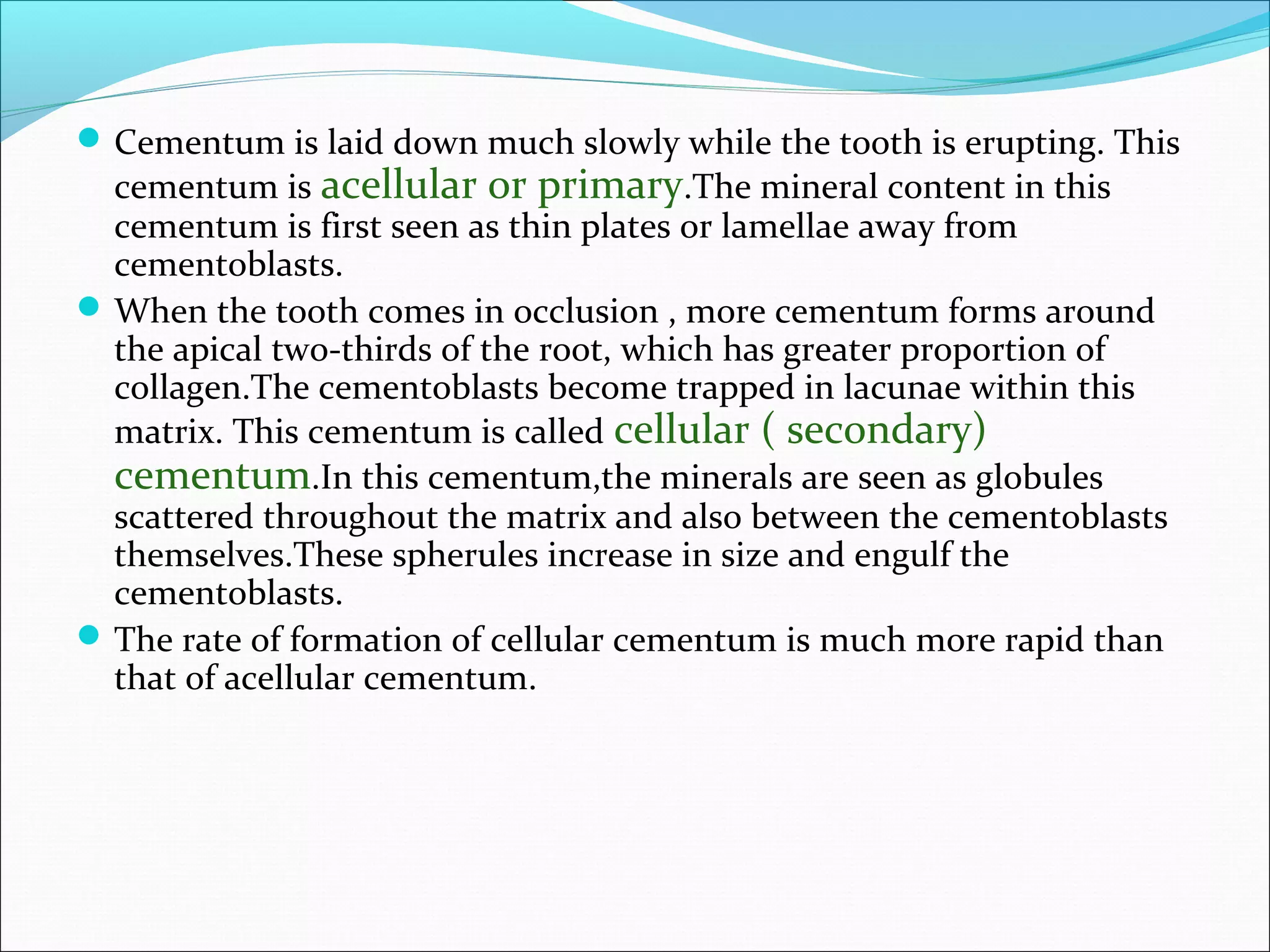 Cementum | PPT