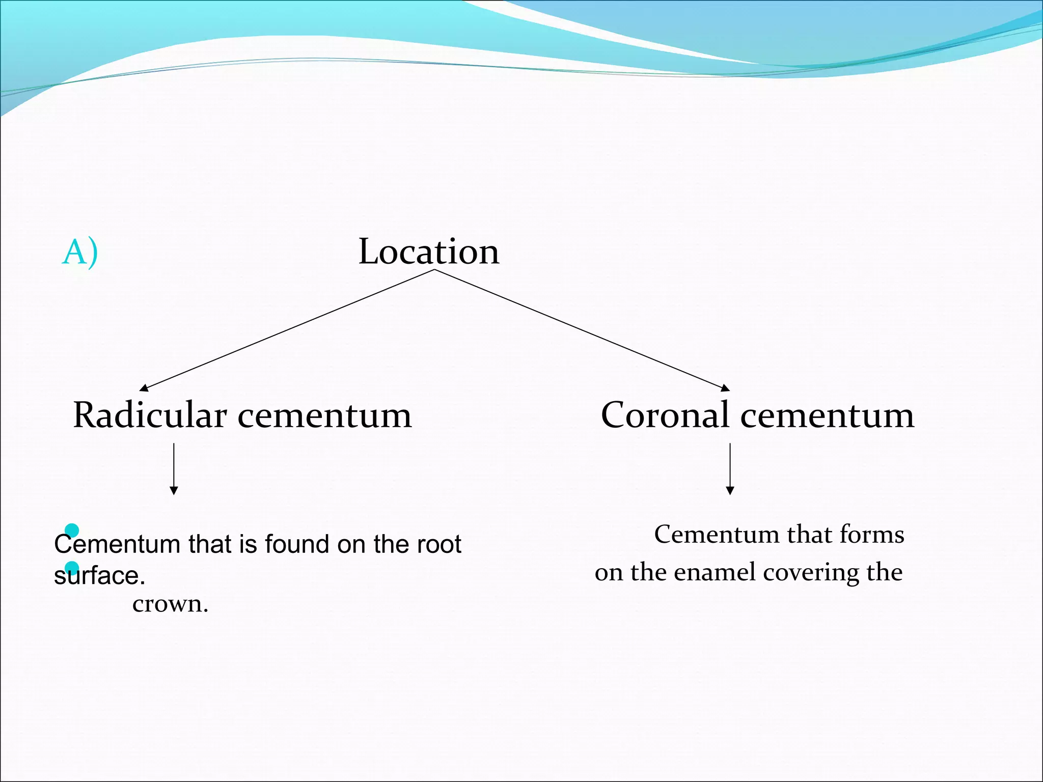 Cementum | PPT