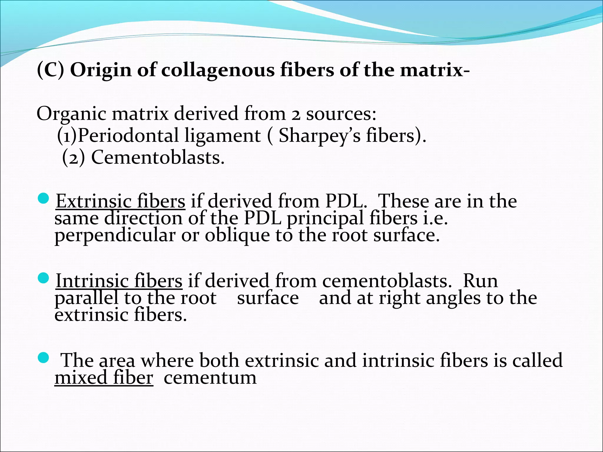 Cementum | PPT