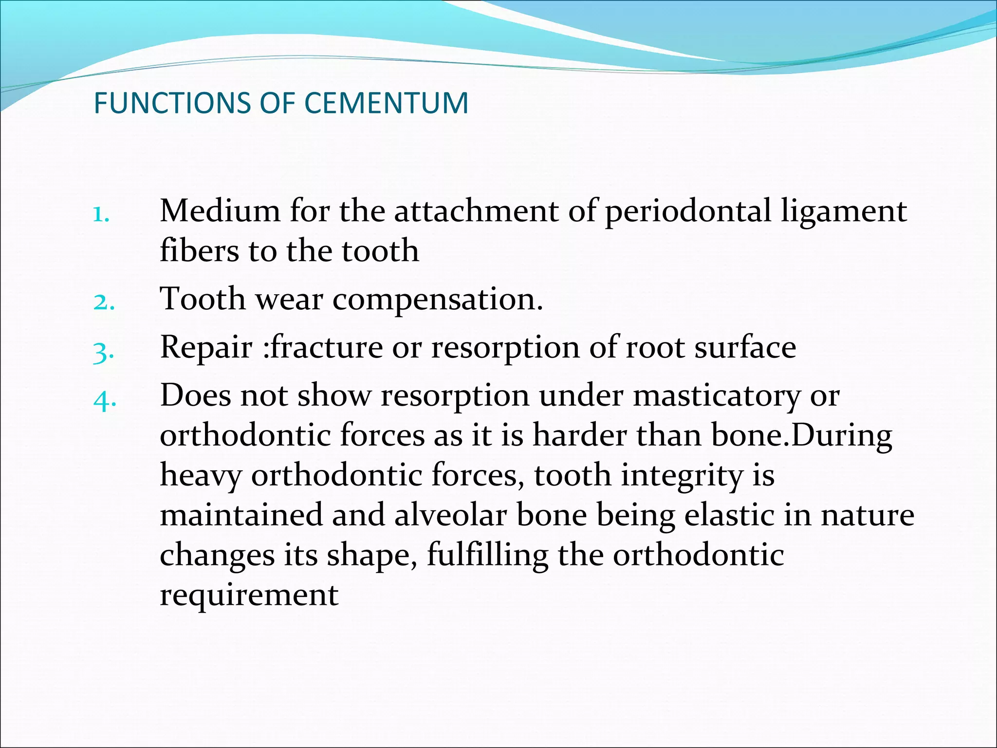 Cementum | PPT