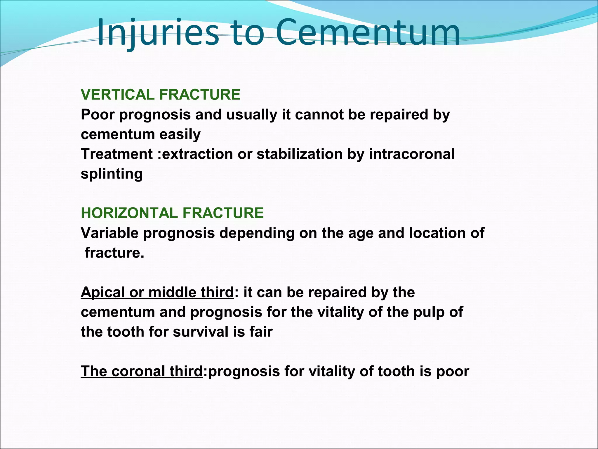Cementum | PPT