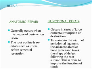 Cementum | PPT