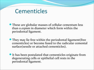 Cementum | PPT