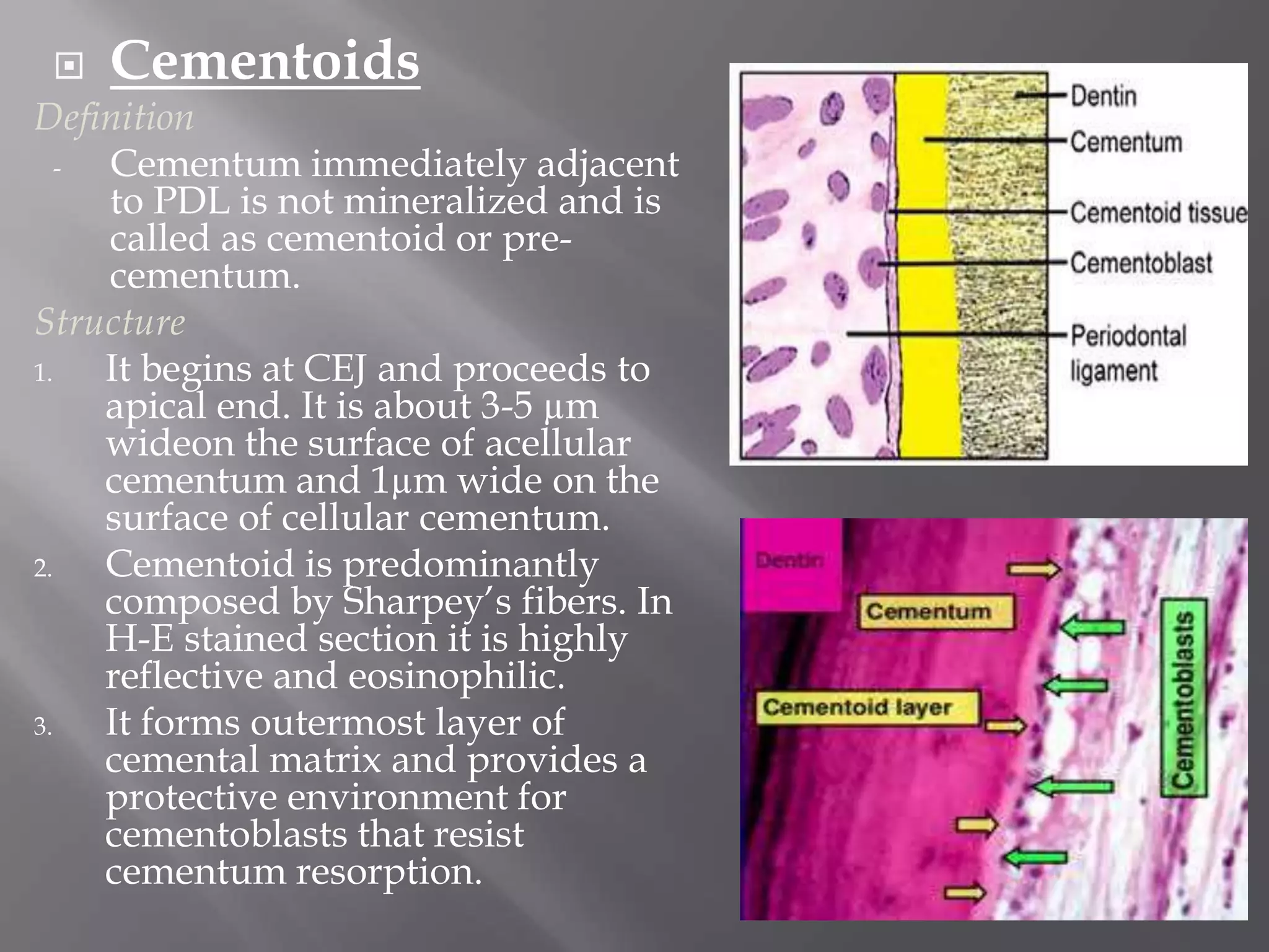 Cementum ppt | PPTX