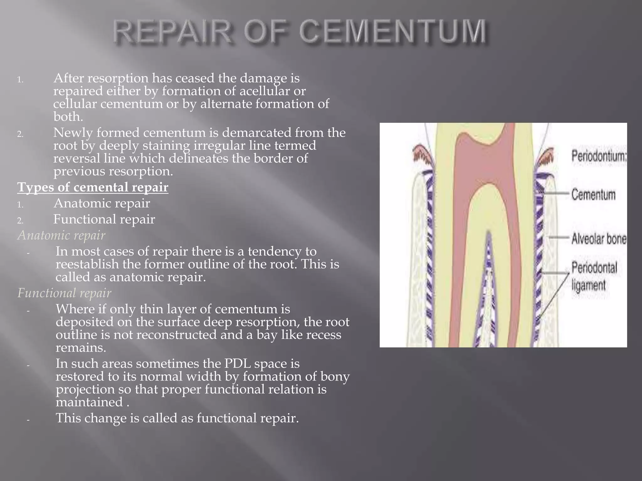 Cementum ppt | PPTX