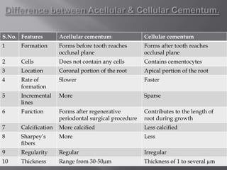 Cementum ppt | PPTX
