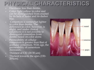 Cementum ppt | PPTX
