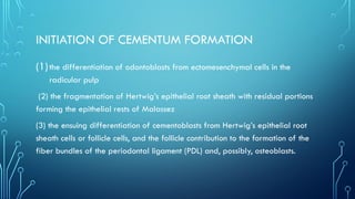 CEMENTUM ppt.pptx Parasitology_ protozoa_ Document from Ramesh Sardar ð ...