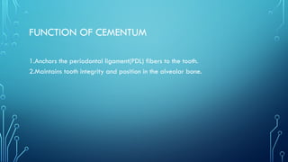 CEMENTUM ppt.pptx Parasitology_ protozoa_ Document from Ramesh Sardar ð ...