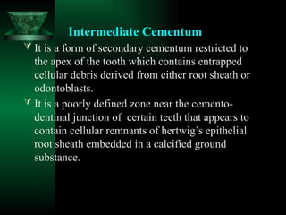 cementum in periodontics and classification of cementum, composition of ...