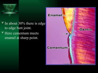 cementum in periodontics and classification of cementum, composition of ...