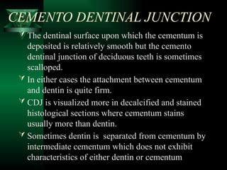 cementum in periodontics and classification of cementum, composition of ...