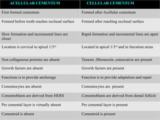 cementum in periodontics and classification of cementum, composition of ...