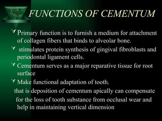 cementum in periodontics and classification of cementum, composition of ...