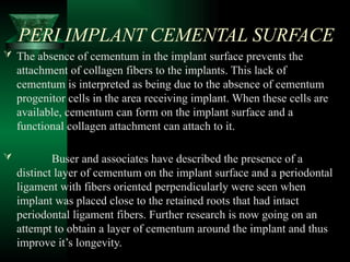 cementum in periodontics and classification of cementum, composition of ...