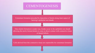 CEMENTUM PPT new.pptx it is a most important structure for retaining ...
