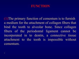 Cementum /certified fixed orthodontic courses by Indian dental academy ...