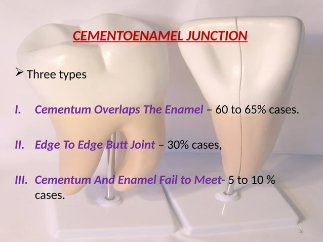 CEMENTUM – ULTRA STRUCTURE & FUNCTIONS.pptx