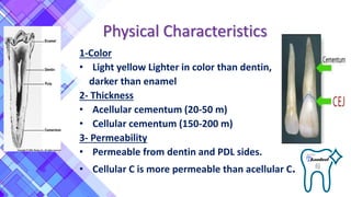 Cemenum | PPT