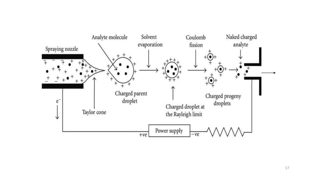 Capillary electrophoresis- Mass spectrometry | PPTX | Chemistry | Science