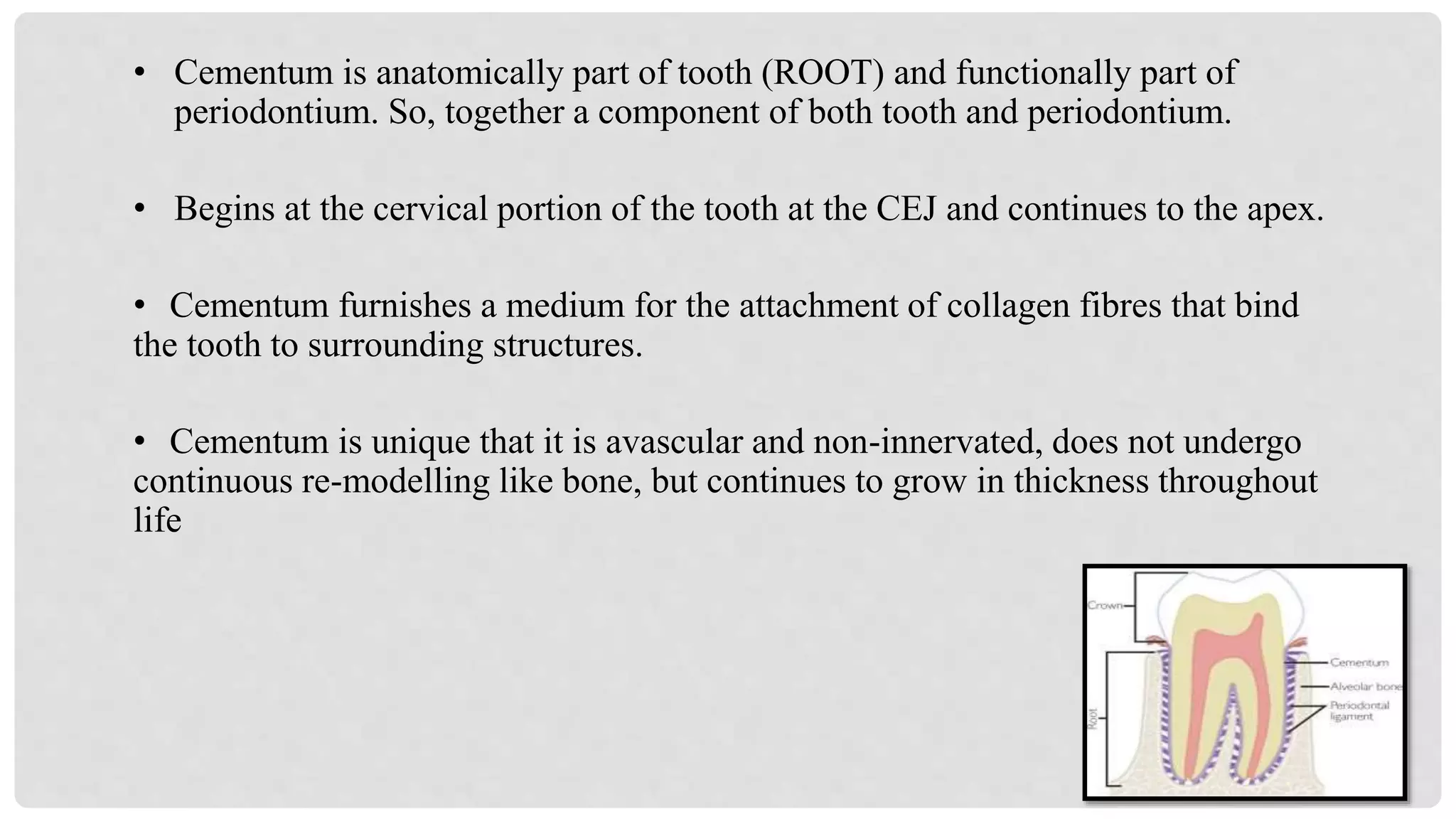 Cementum in Dentistry | PPTX