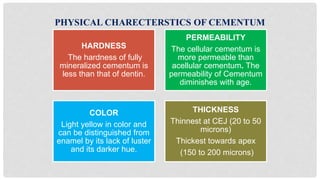 Cementum in Dentistry | PPTX