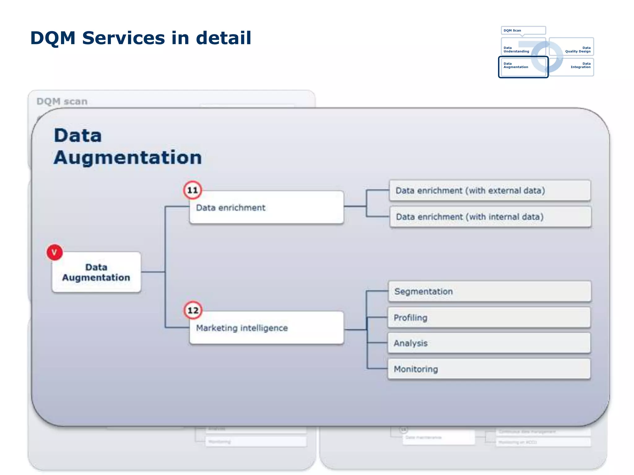 Cendris Data Quality Management | PPT