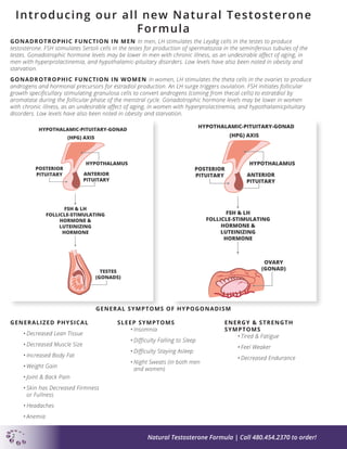 Cenegenics Testosterone Brochure | PDF