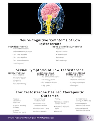 Cenegenics Testosterone Brochure | PDF