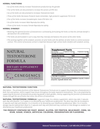 Cenegenics Testosterone Brochure | PDF