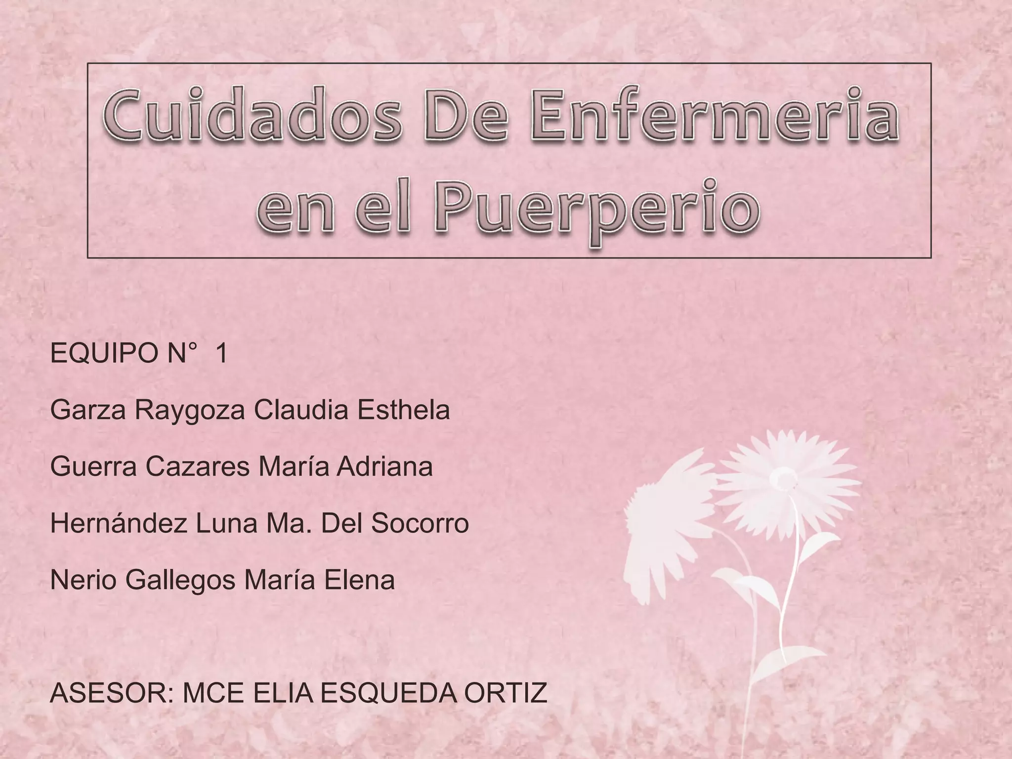 CUIDADOS DE ENFERMERIA EN EL PUERPERIO | PPT