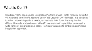 Cenit IO | Strategy | PPTX