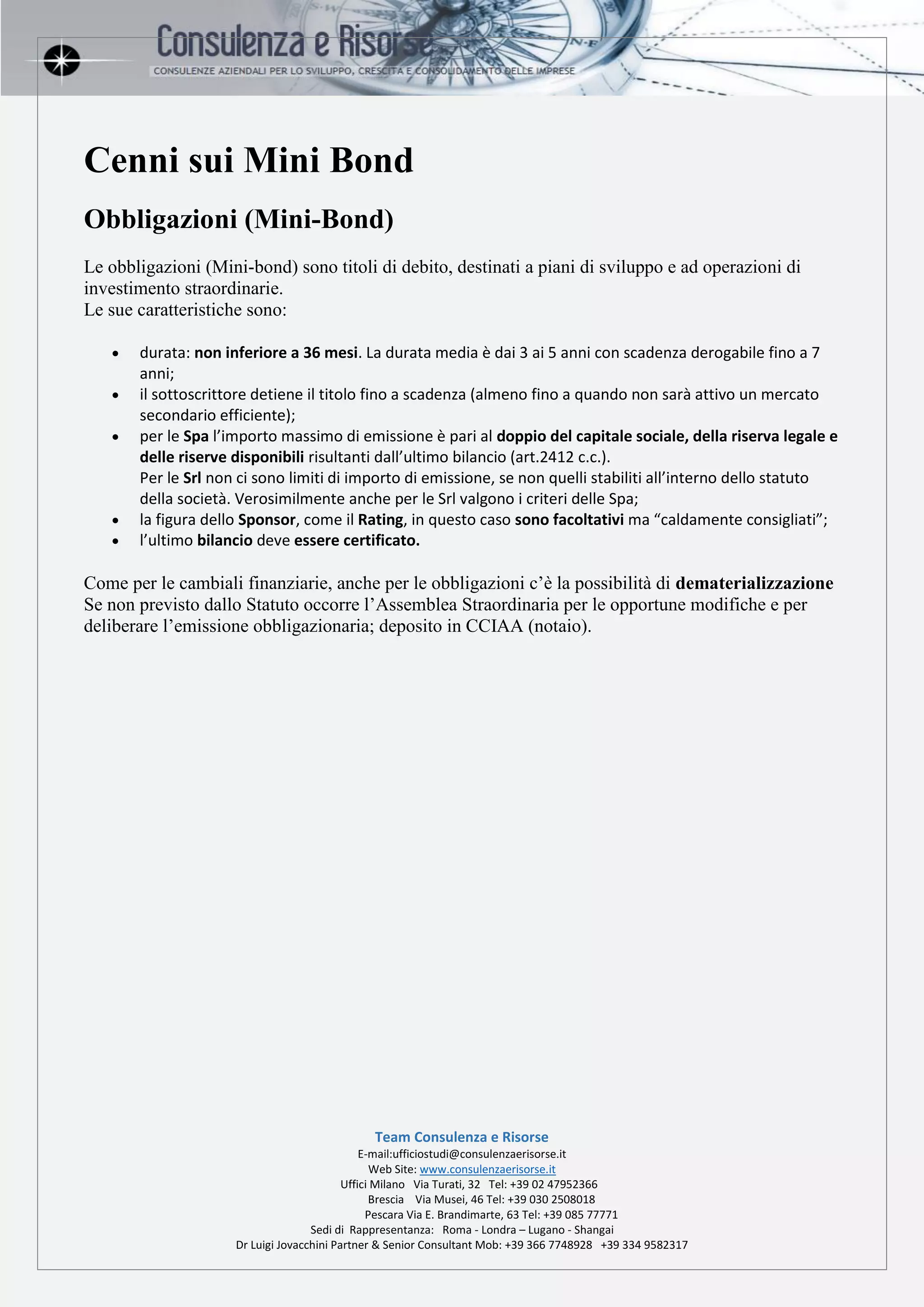 Cenno sui mini bond | PDF