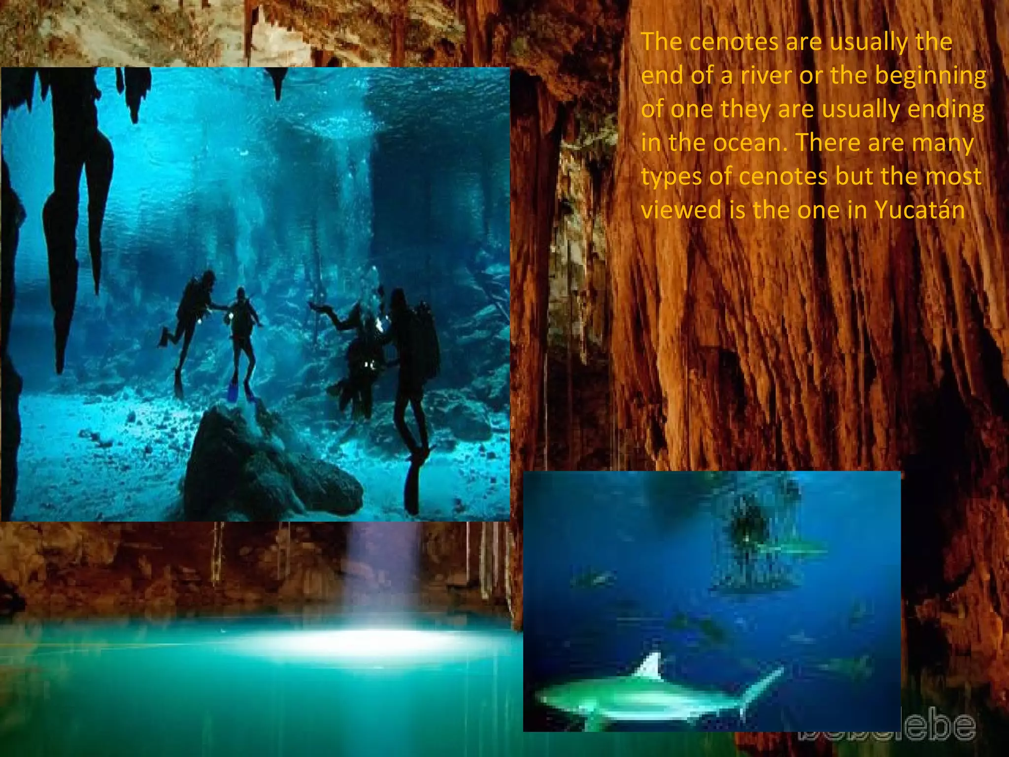 Cenotes Presentation | PPT