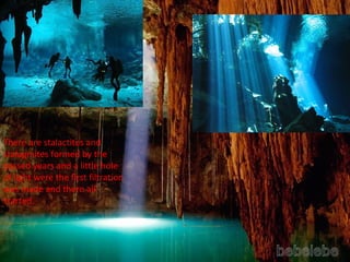 Cenotes Presentation | PPT